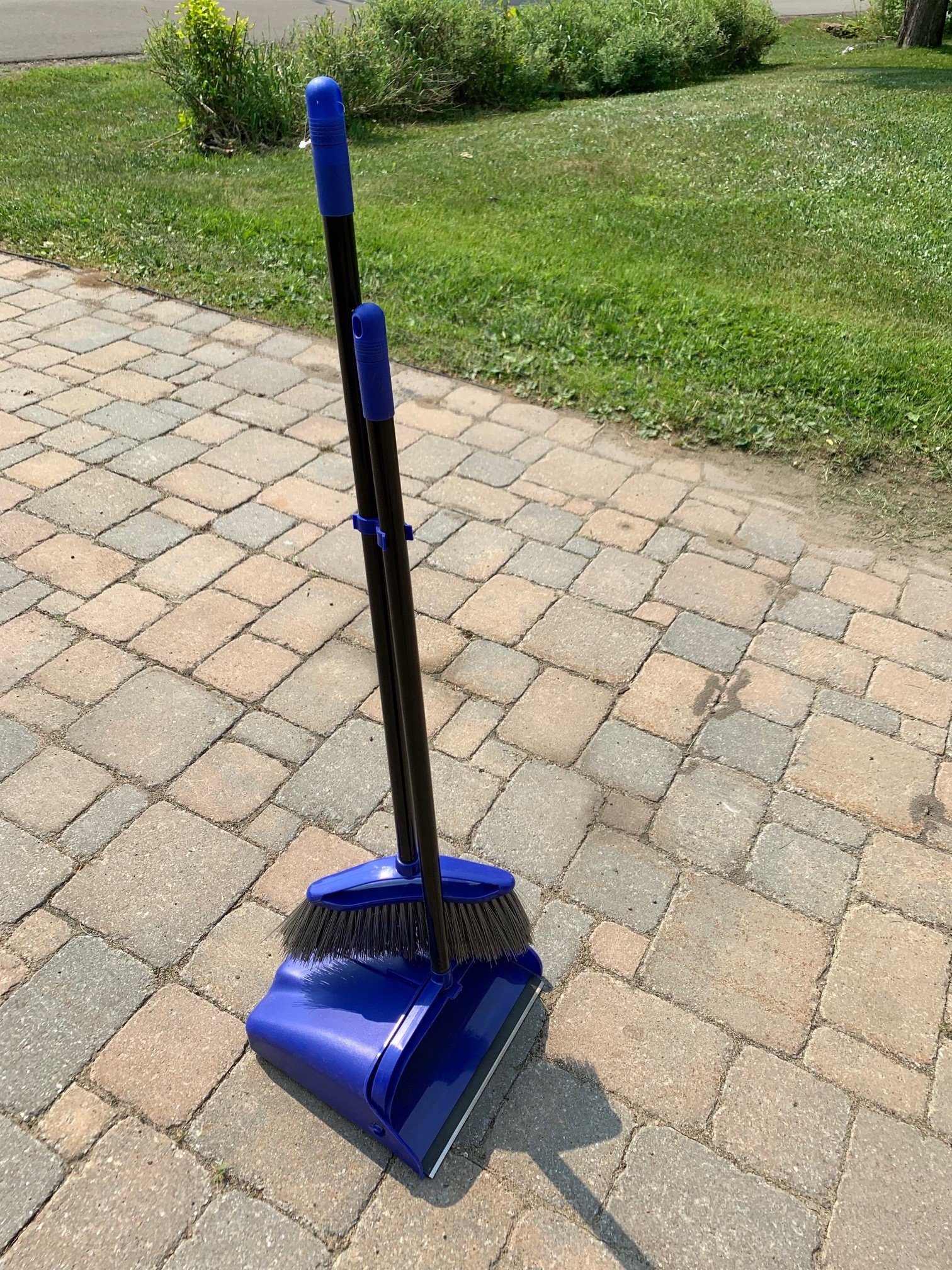 balai - Shannon - Forever