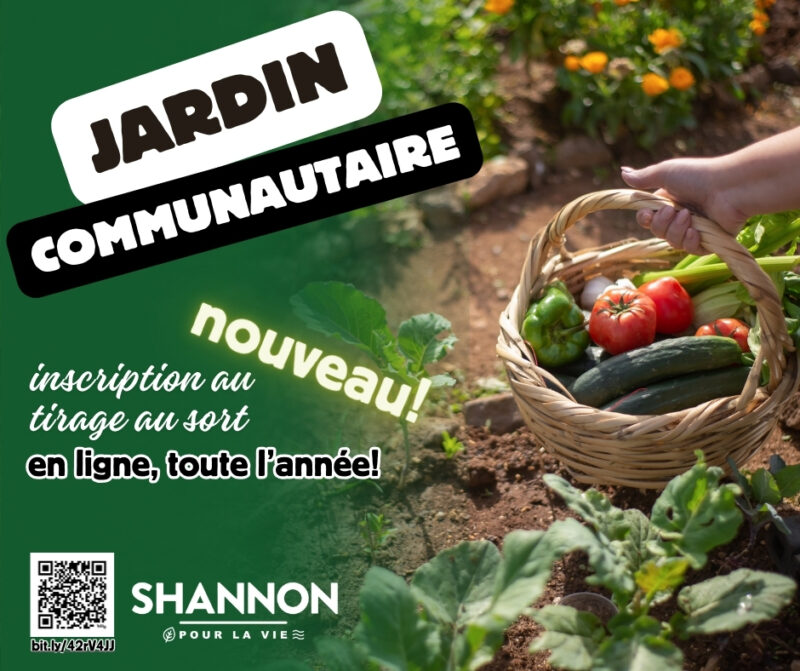 DISCOVER THE RICH HISTORY OF SHANNON - Shannon - Forever