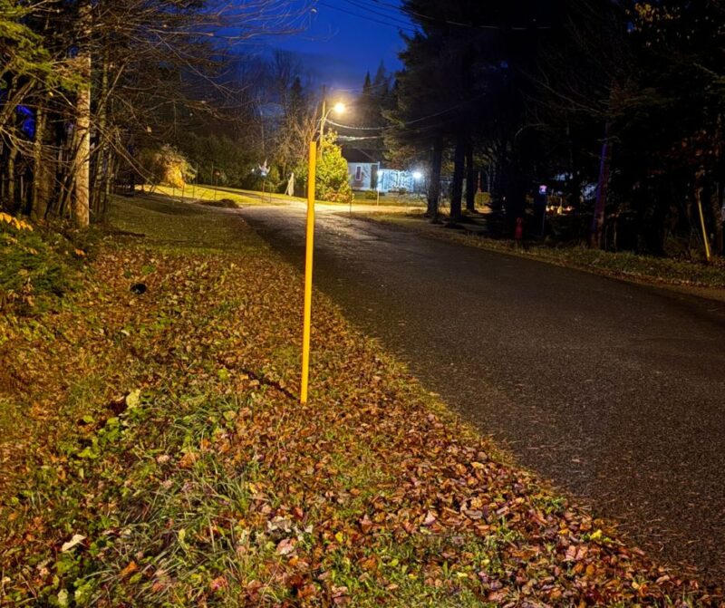 ️ 🚜 LES BALISES DE DÉNEIGEMENT FONT LEUR GRAND RETOUR ! - Shannon