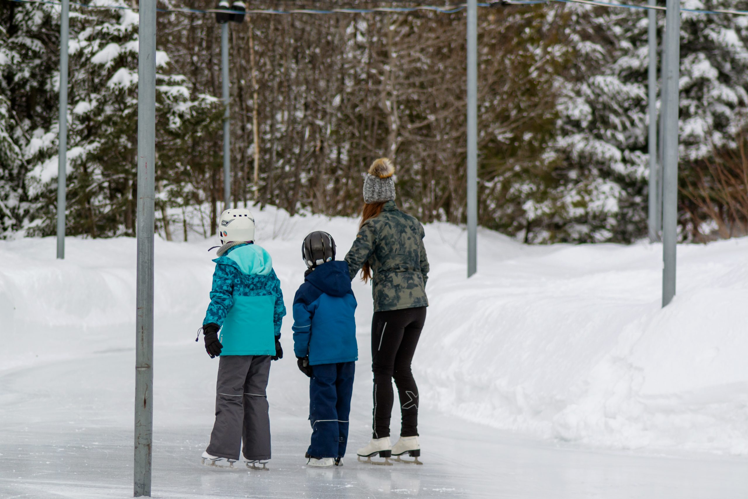 Février Famille Crédit V Cliche - Shannon - Forever
