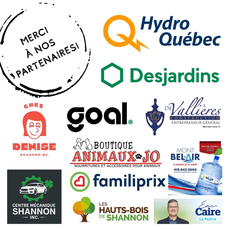 ⛺ CAMPING AU PARC MUNICIPAL - VENDREDI 10 JUILLET 2026⛺ - Shannon